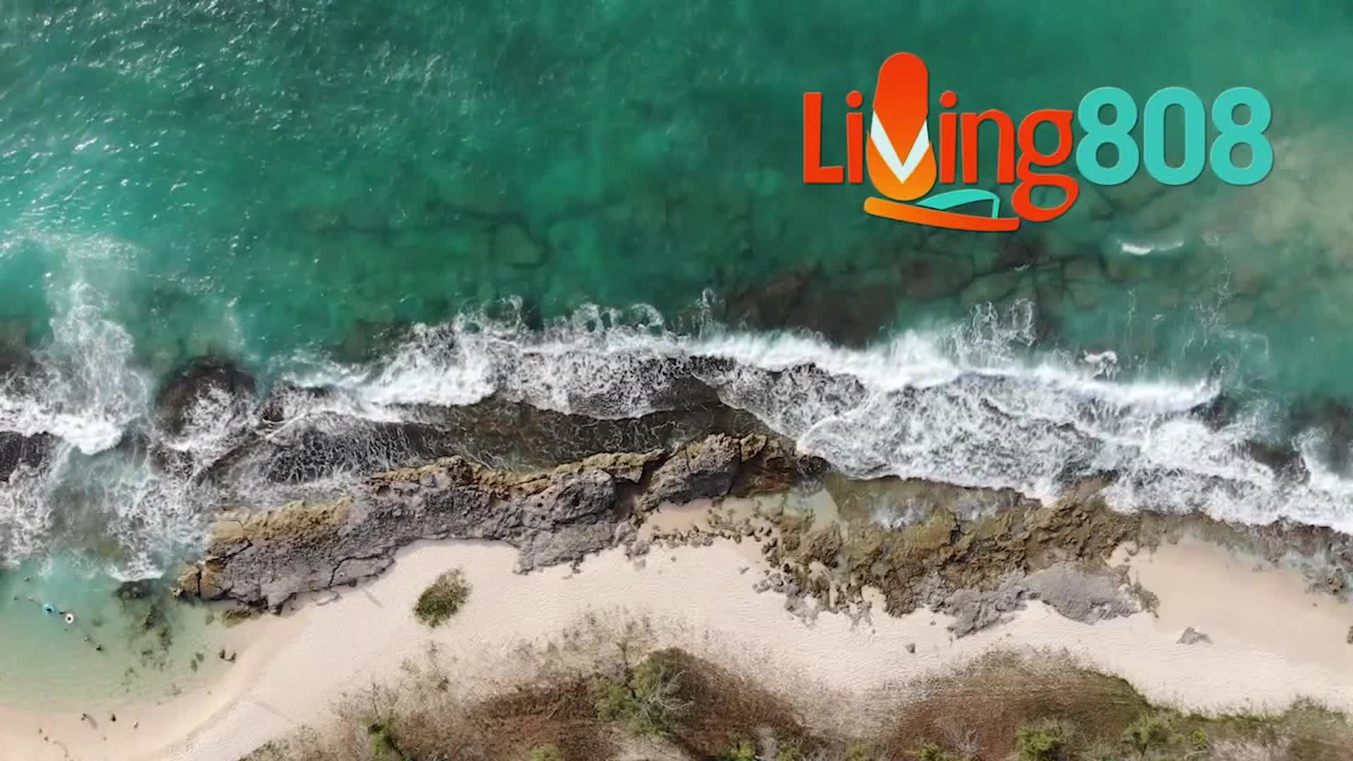 Ulu A‘e Learning Center: Cultivating Tomorrow’s Leaders Through Tradition and Stewardship – KHON2