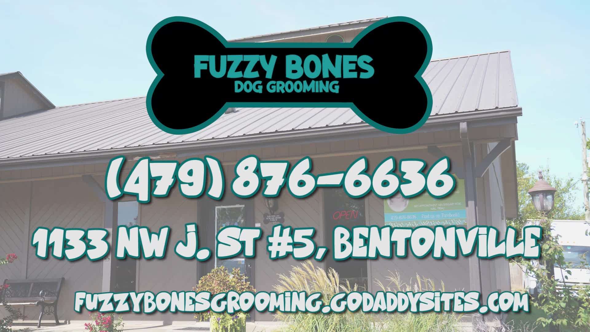 Help Clear The Shelters with Fuzzy Bones Grooming – KNWA FOX24
