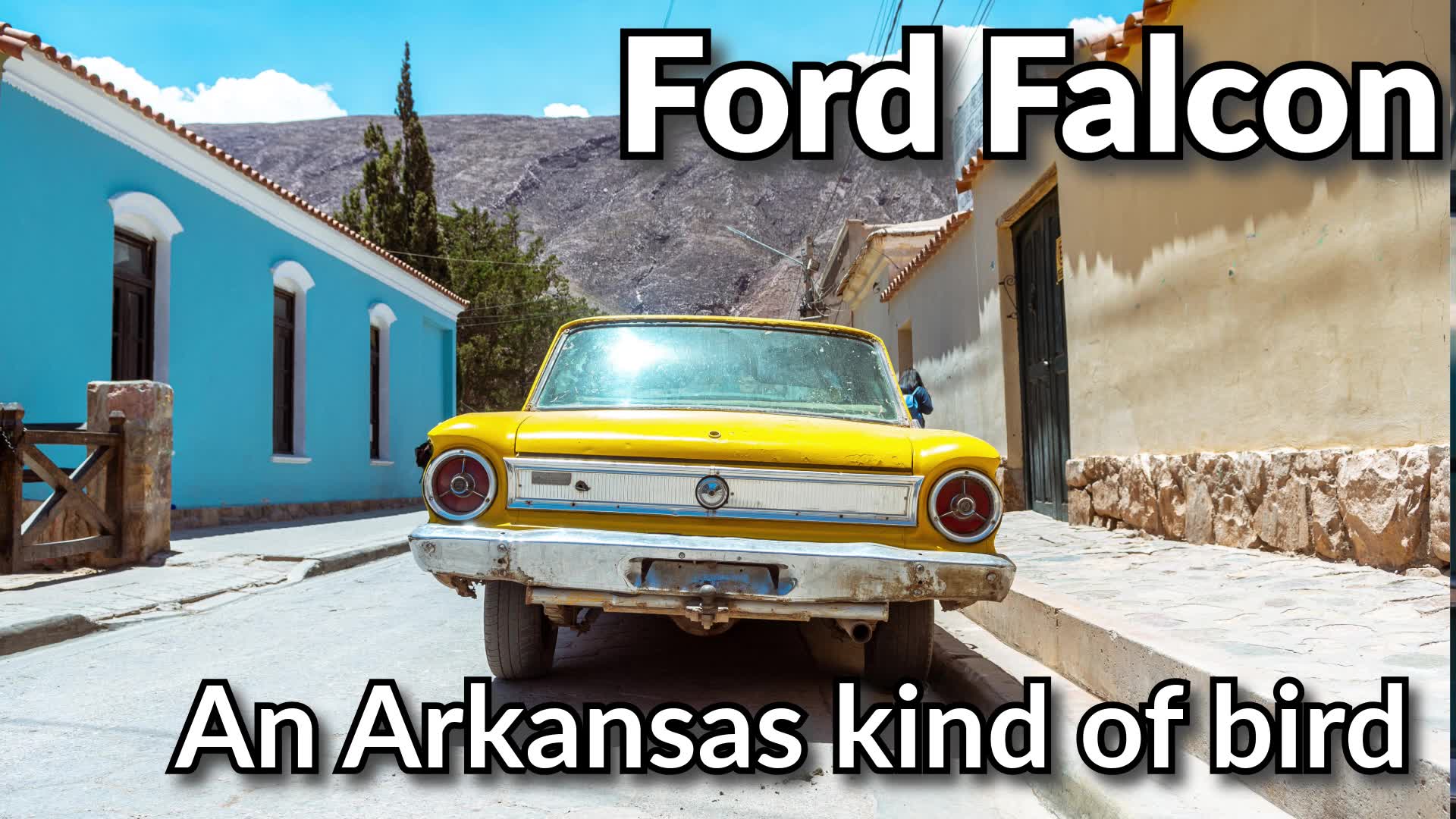 The Ford Falcon – an Arkansas kind of bird – KLRT – FOX16.com