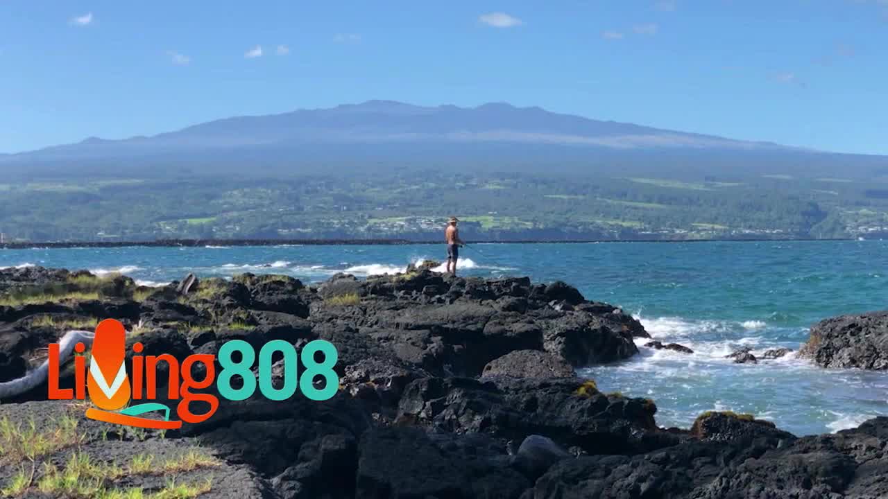 Elevate Your Home’s Style with Ohia Poles: A Hardware Hawaii Exclusive ...